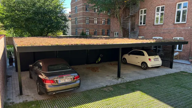 Sedumtag - smukt og grønt alternativ til carporttaget