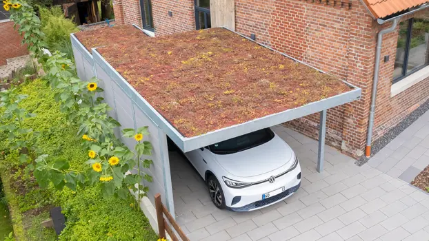 Sedumtag - smukt og grønt alternativ til carporttaget